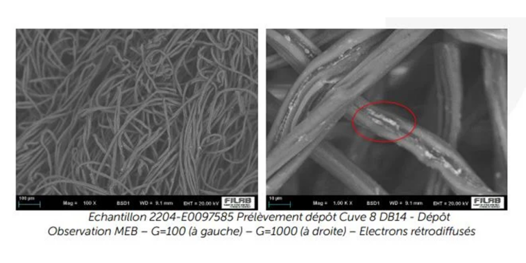 Rouging phenomenon in stainless steel - FILAB